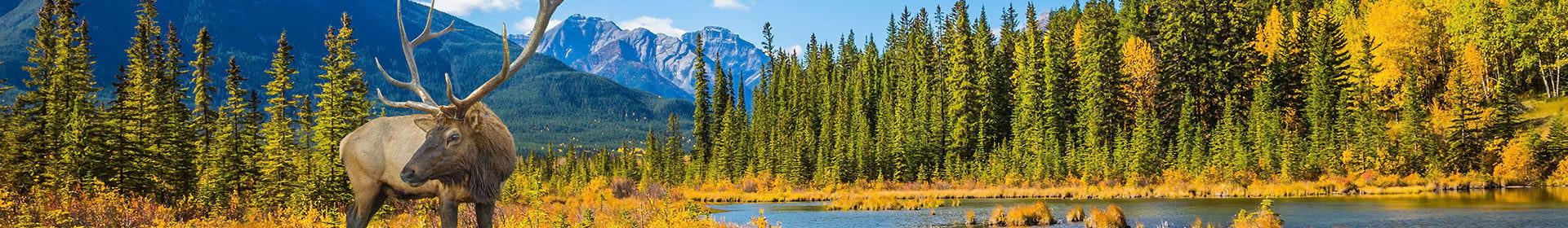 Places to visit Canada: tourist maps and must-see attractions