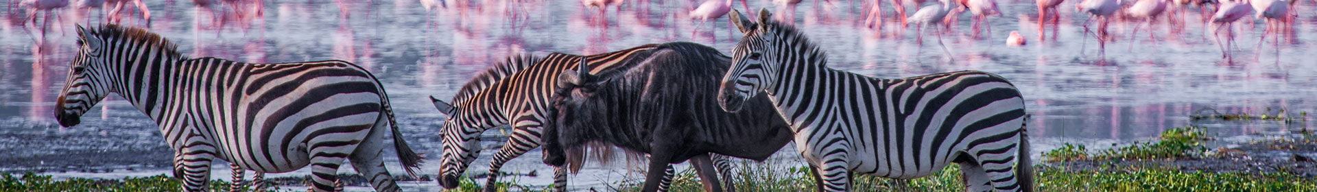 Places to visit Tanzania: tourist maps and must-see attractions